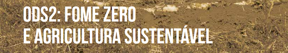 Relatório Luz da Agenda 2030: ODS 2 (Fome Zero e Agricultura ...